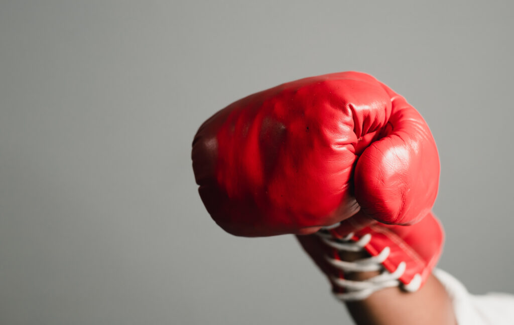 Style Box - Belvest Investment Services