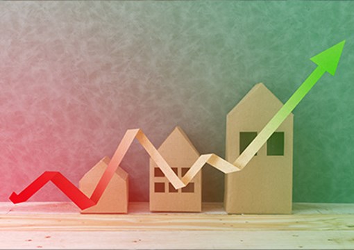 Build up not out - Belvest Investment Services